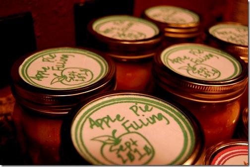 Beneath My Dreaming Tree: How To Use 50+ Apples